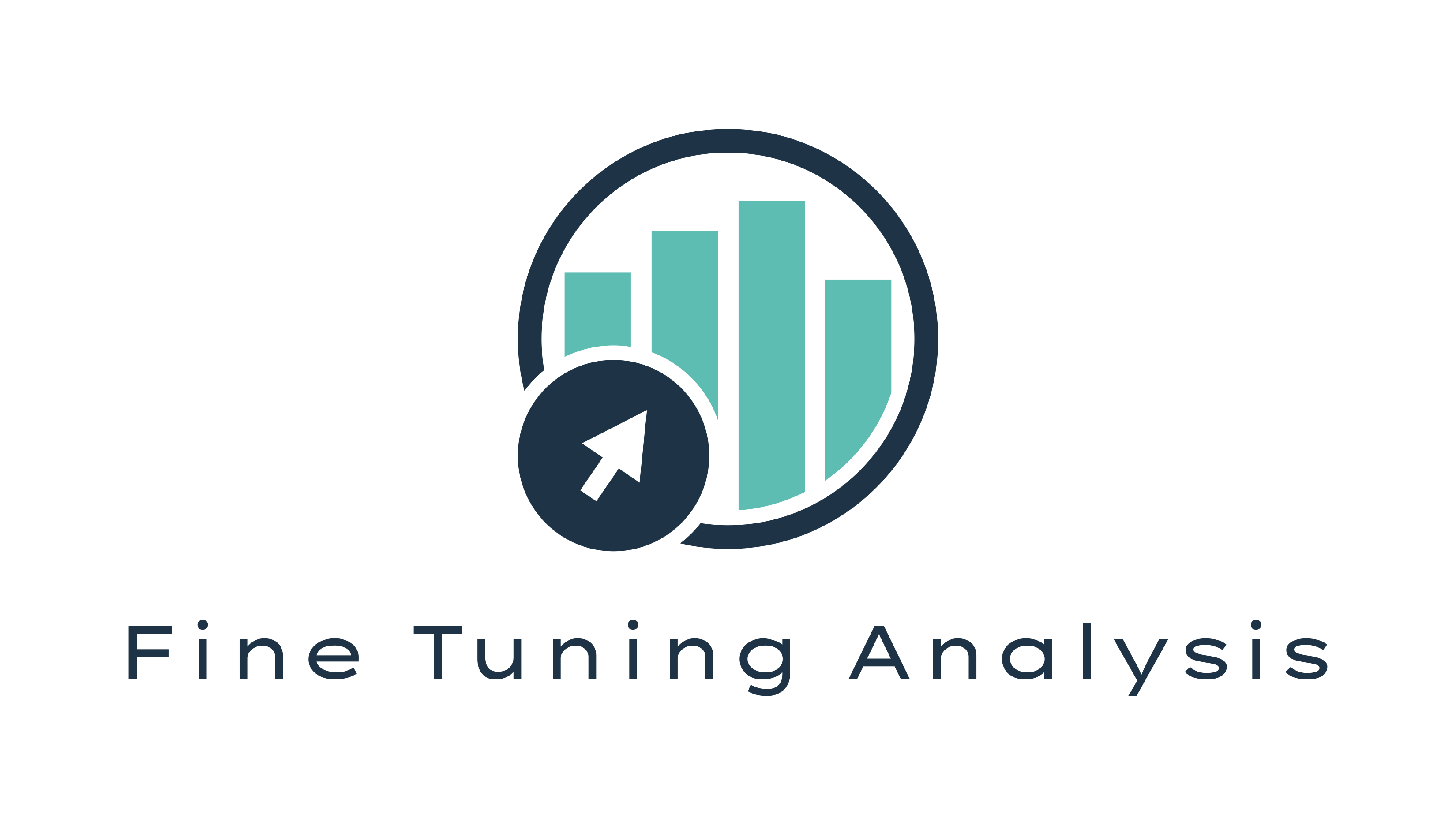 About - Fine Tuning Analysis